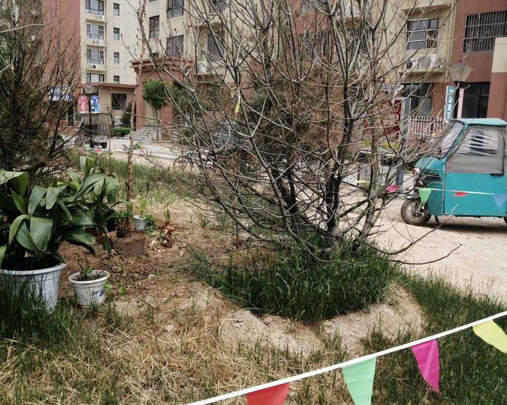 临清御林苑 清远御林苑 第8页 大山谷图库