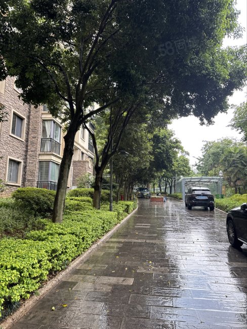 【10图】金色半岛 南北通透 商品住宅 带电梯 双卫格局 精装好房，金色半岛-昆明58同城
